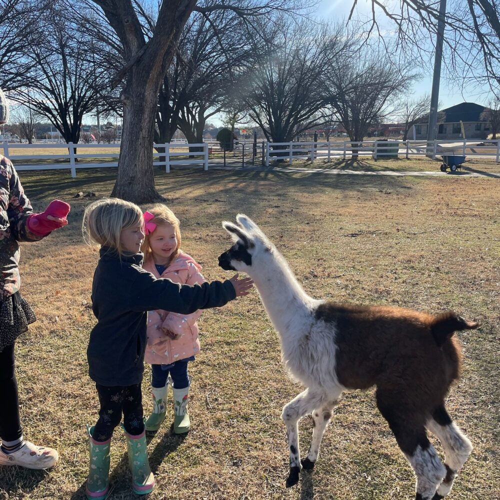Cooper Project Advisors | Keystone Adventure School and Farm