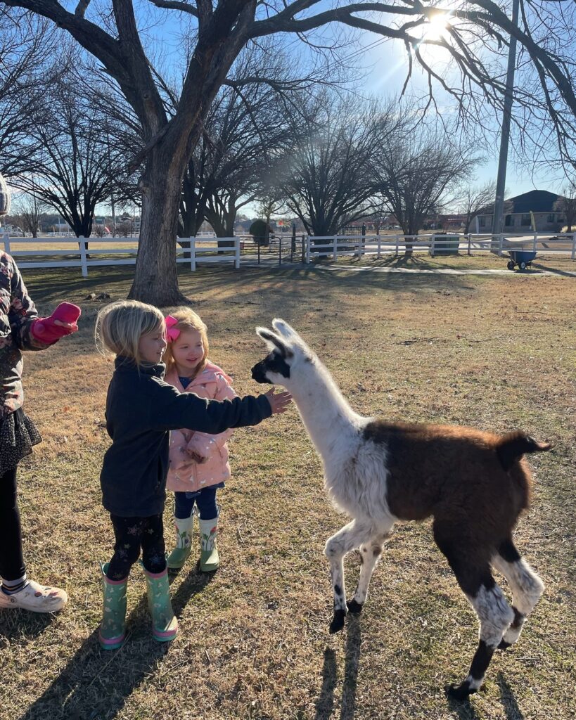 Cooper Project Advisors | Keystone Adventure School and Farm